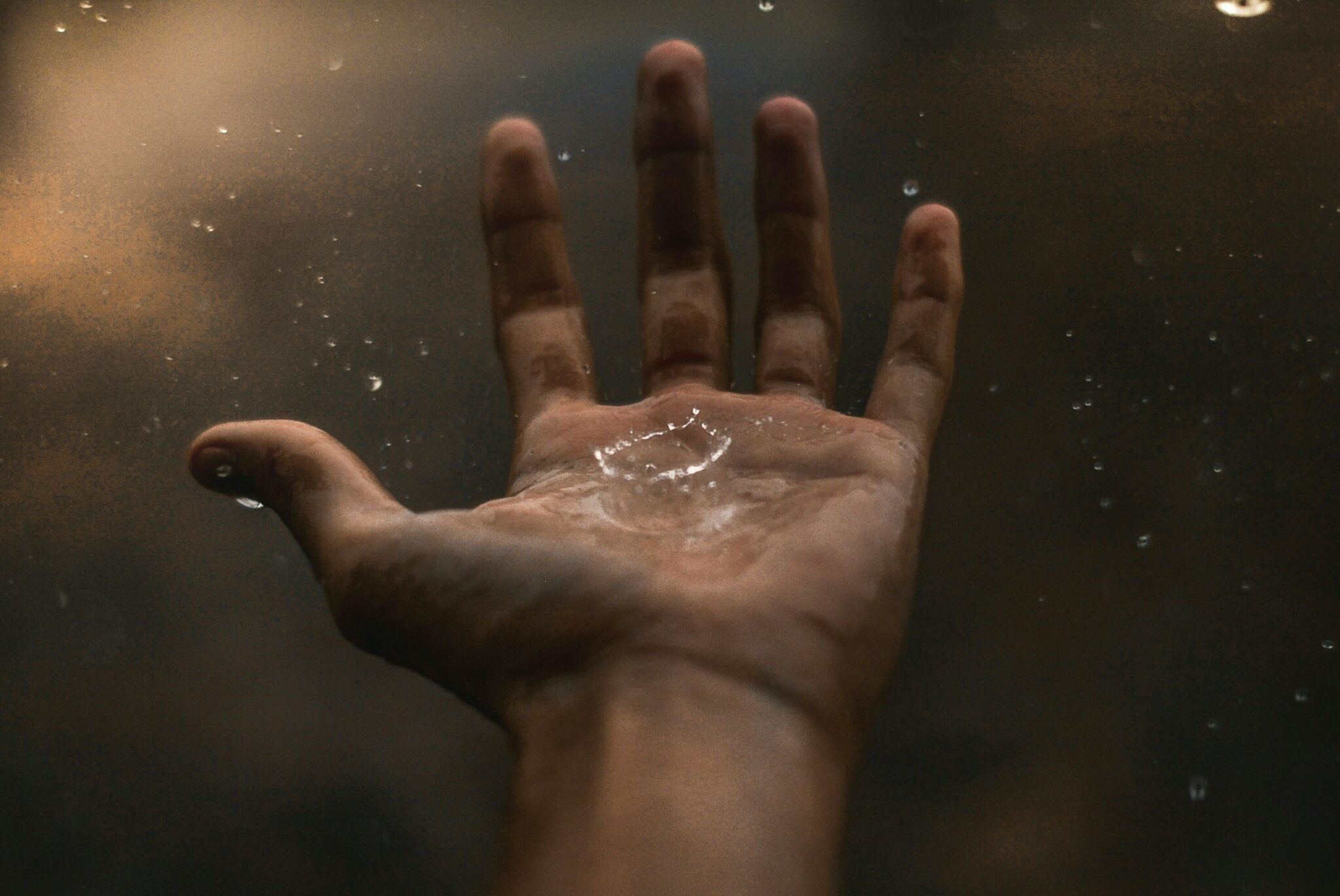 Alcohol Withdrawal Hallucinations